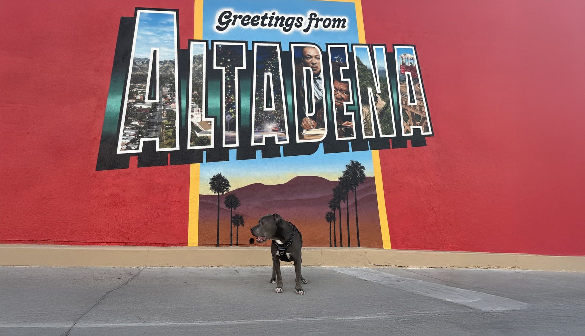Altadina & Pasadena - Support & Resources
